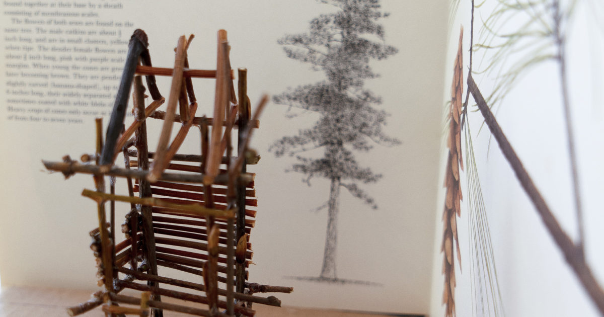 Sticks and Stones | Projects | Periscope