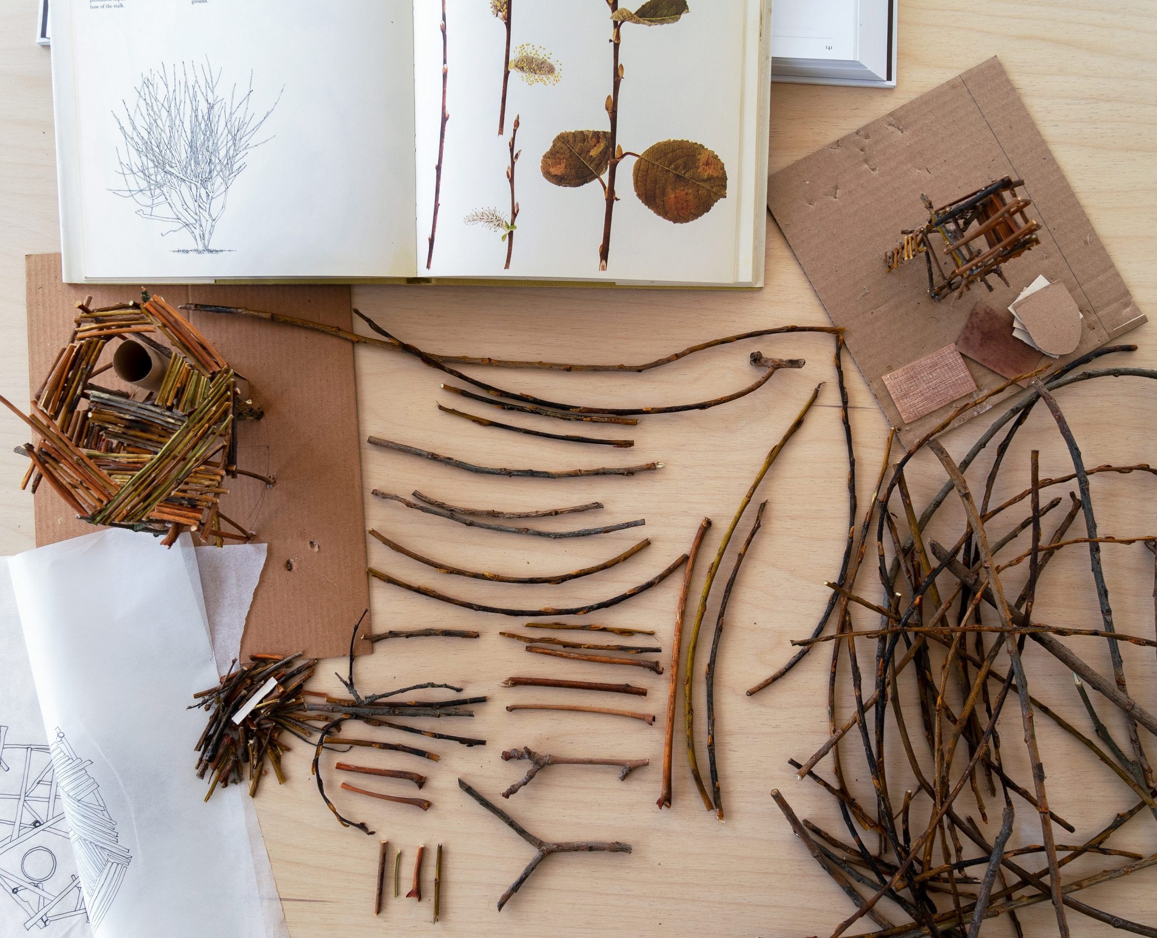 Sticks and Stones | Projects | Periscope