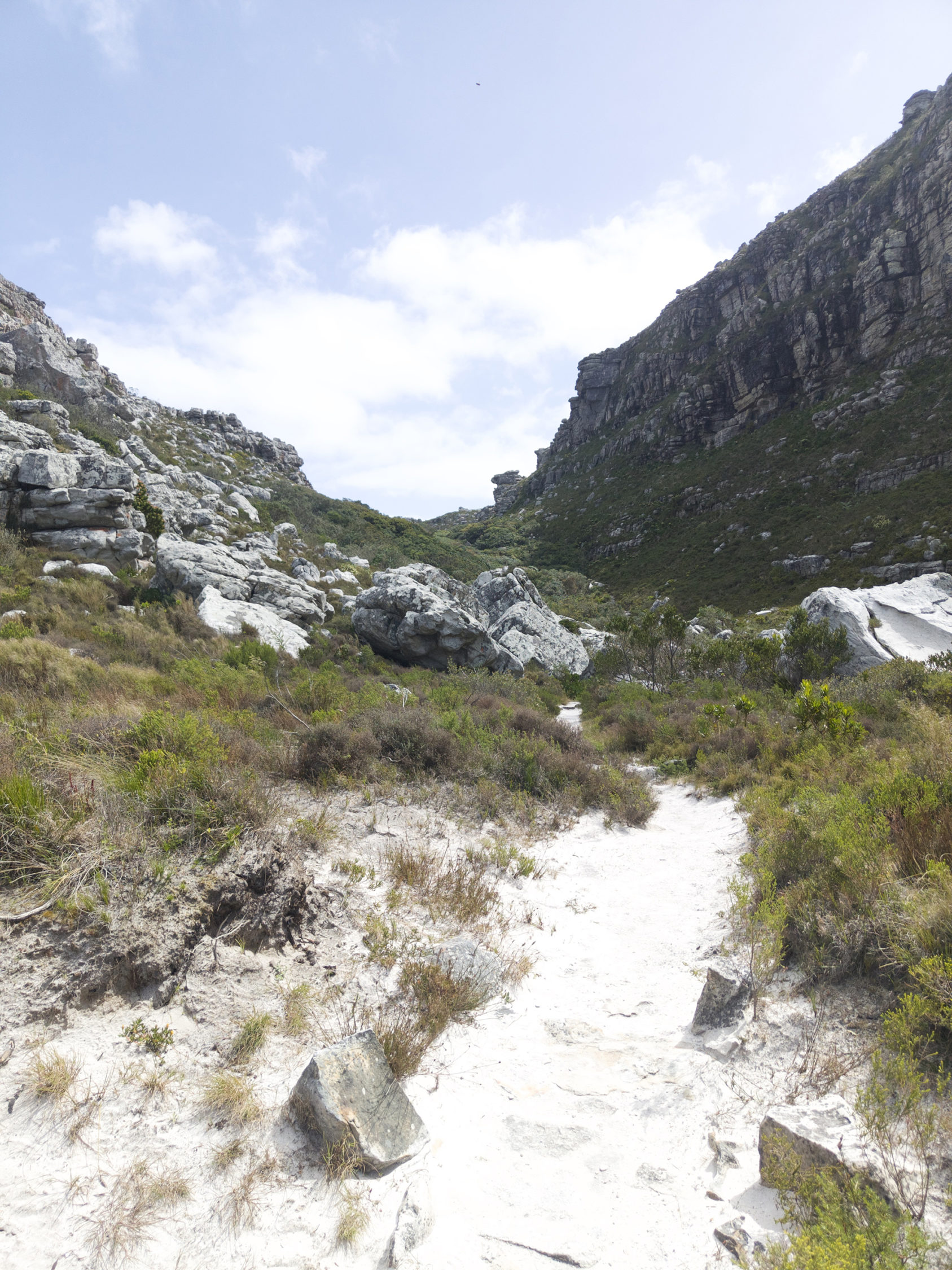 To hear the hrumph of a big hairy thing | Projects | Periscope