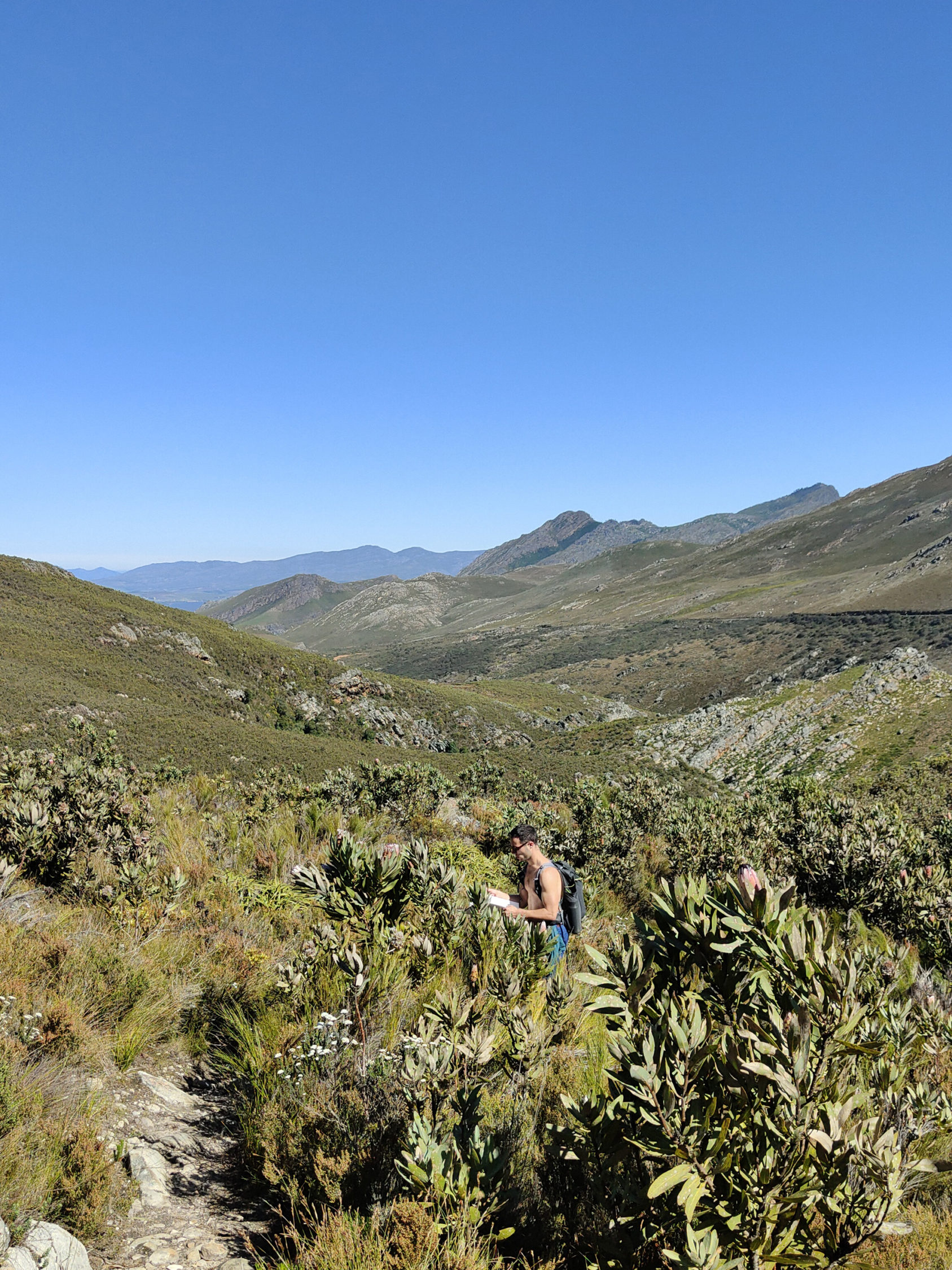 To hear the hrumph of a big hairy thing | Projects | Periscope