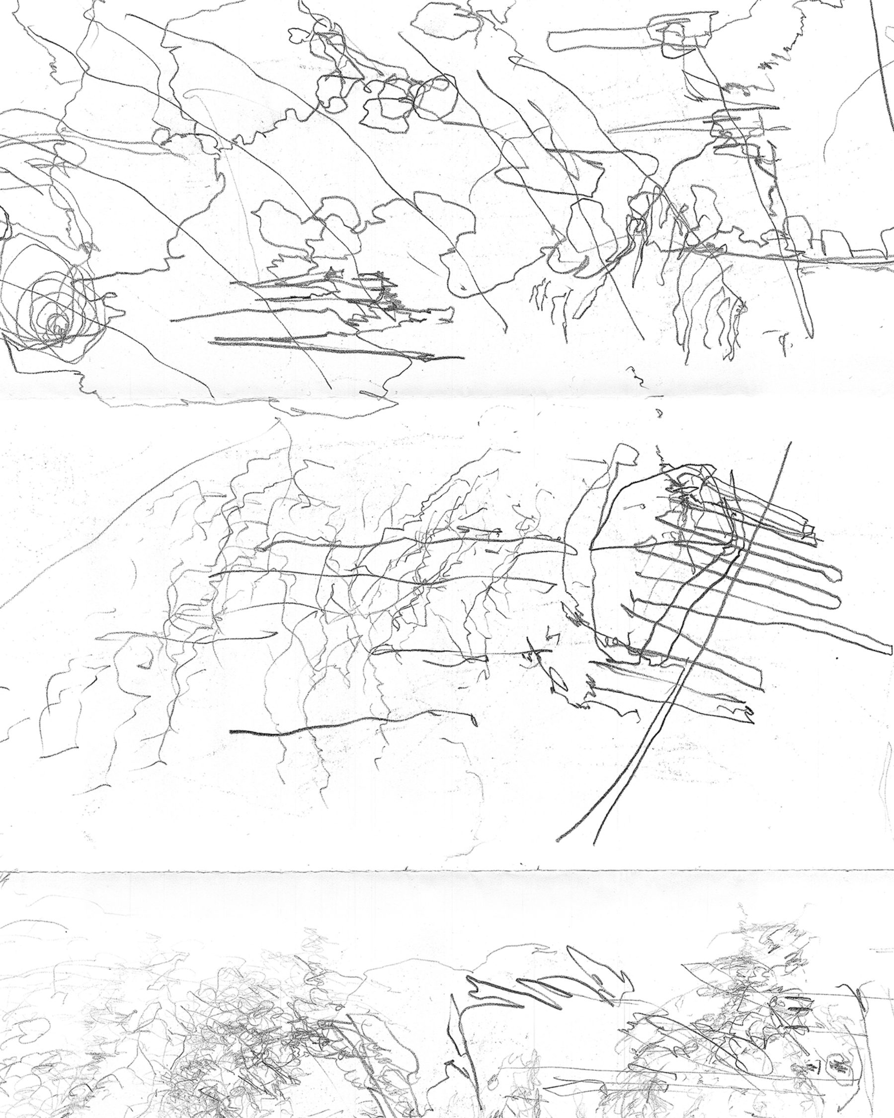 To hear the hrumph of a big hairy thing | Projects | Periscope