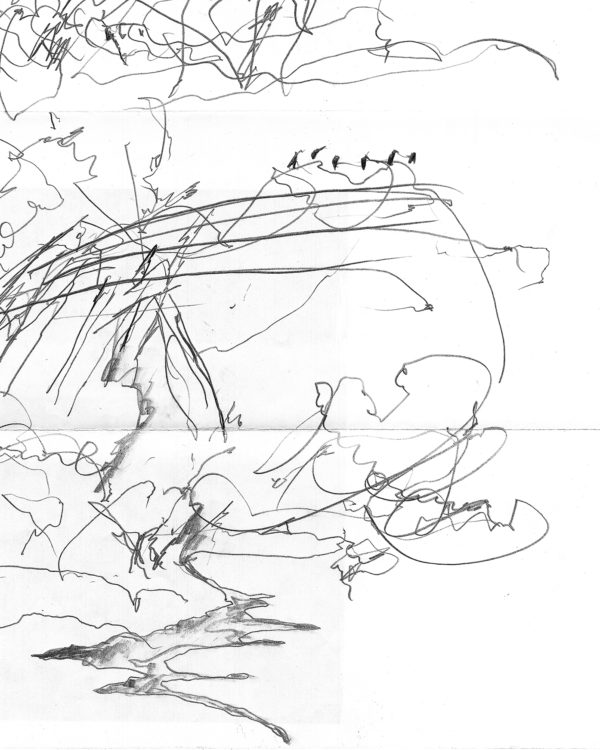 To hear the hrumph of a big hairy thing | Projects | Periscope