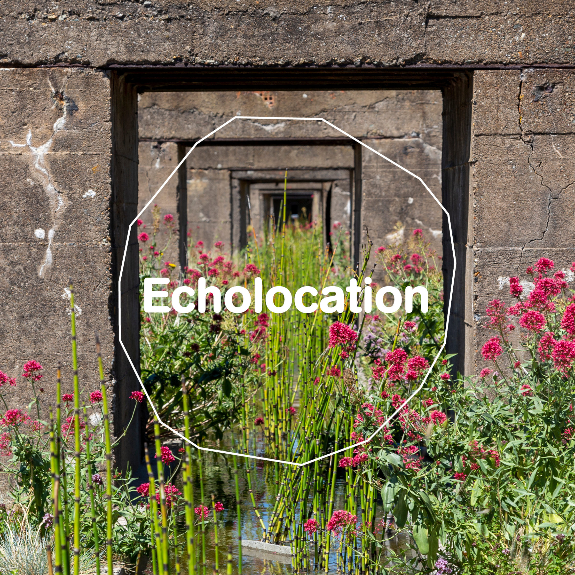 Periscope: Architecture, Landscape, Urbanism