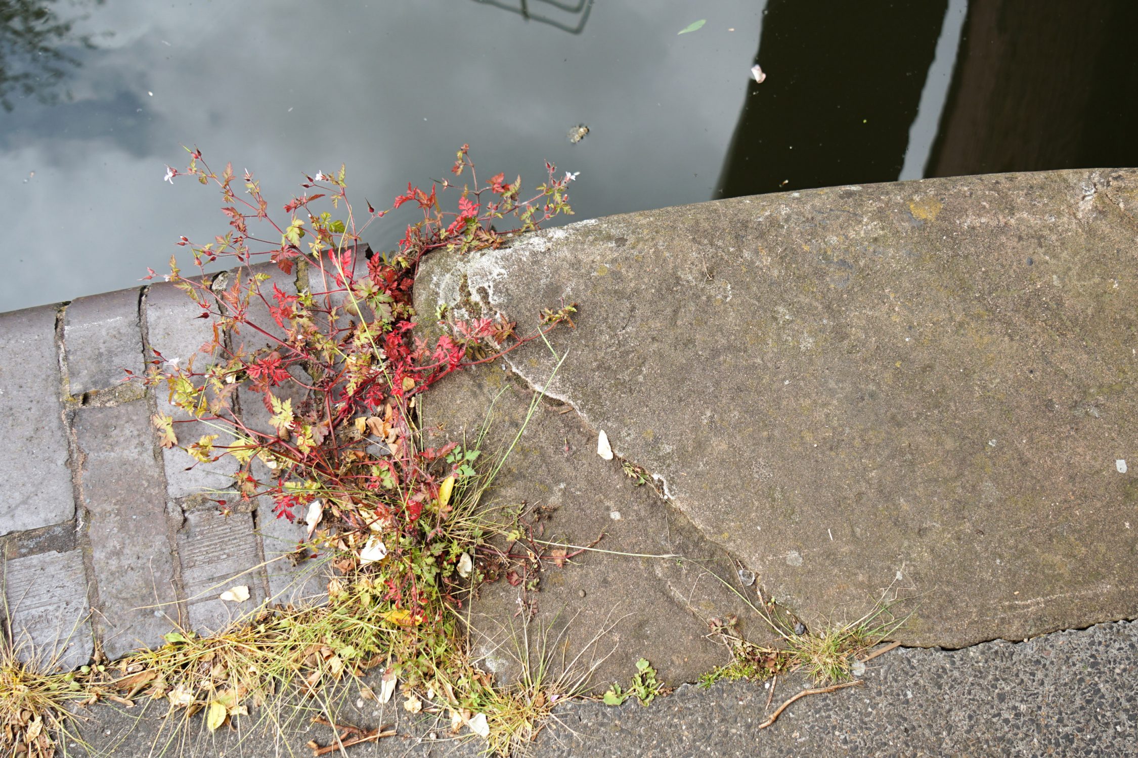 Bordesley Junction | Projects | Periscope