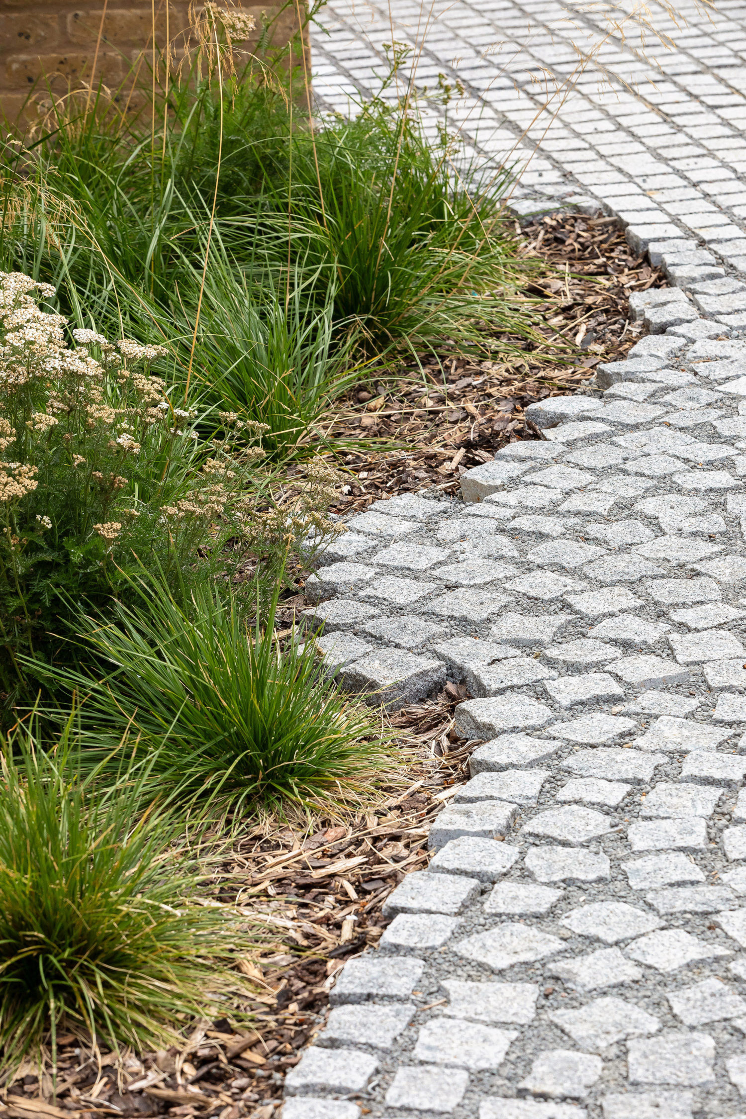 Chowdhury Walk | Projects | Periscope