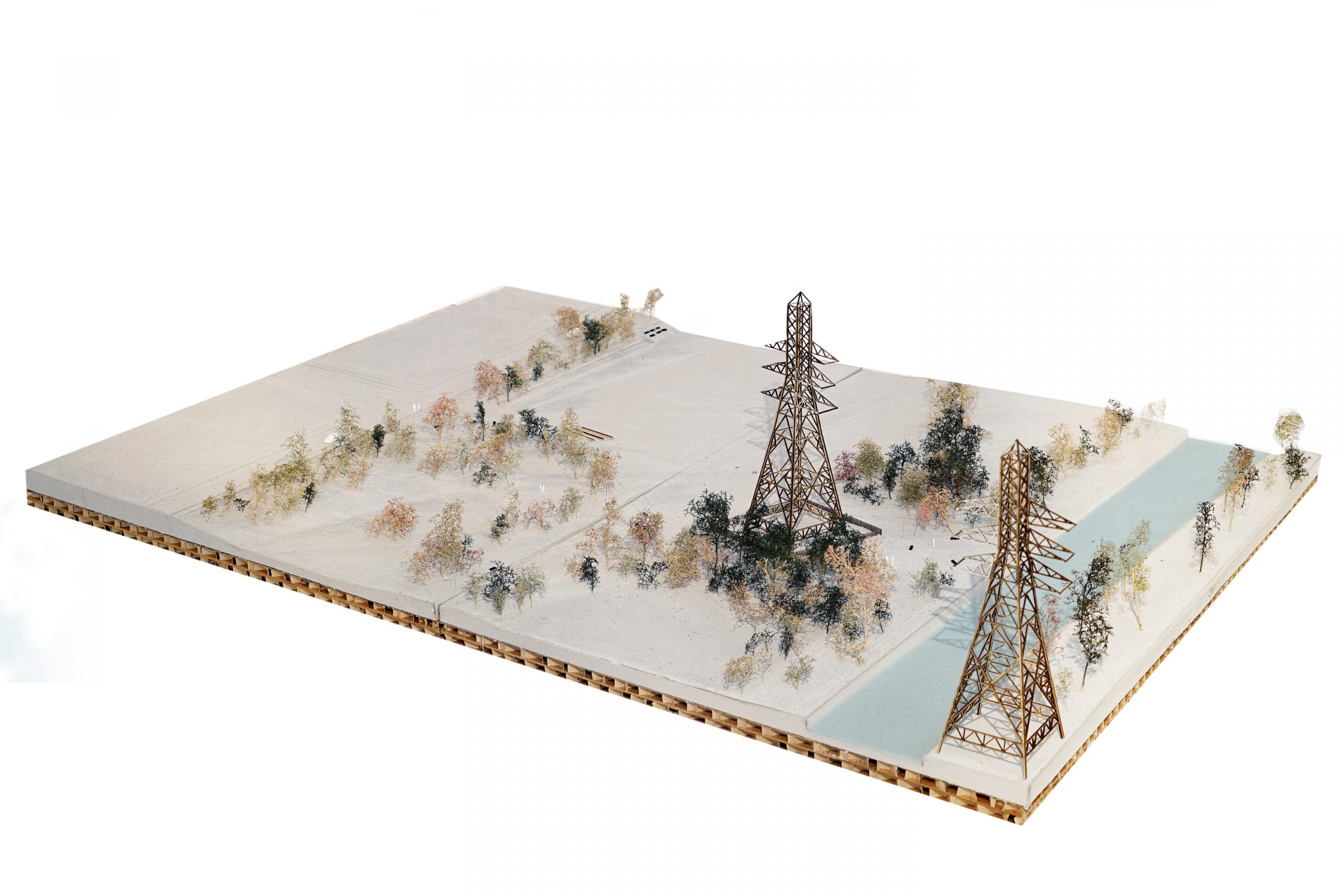 Edmonton Marshes | Projects | Periscope