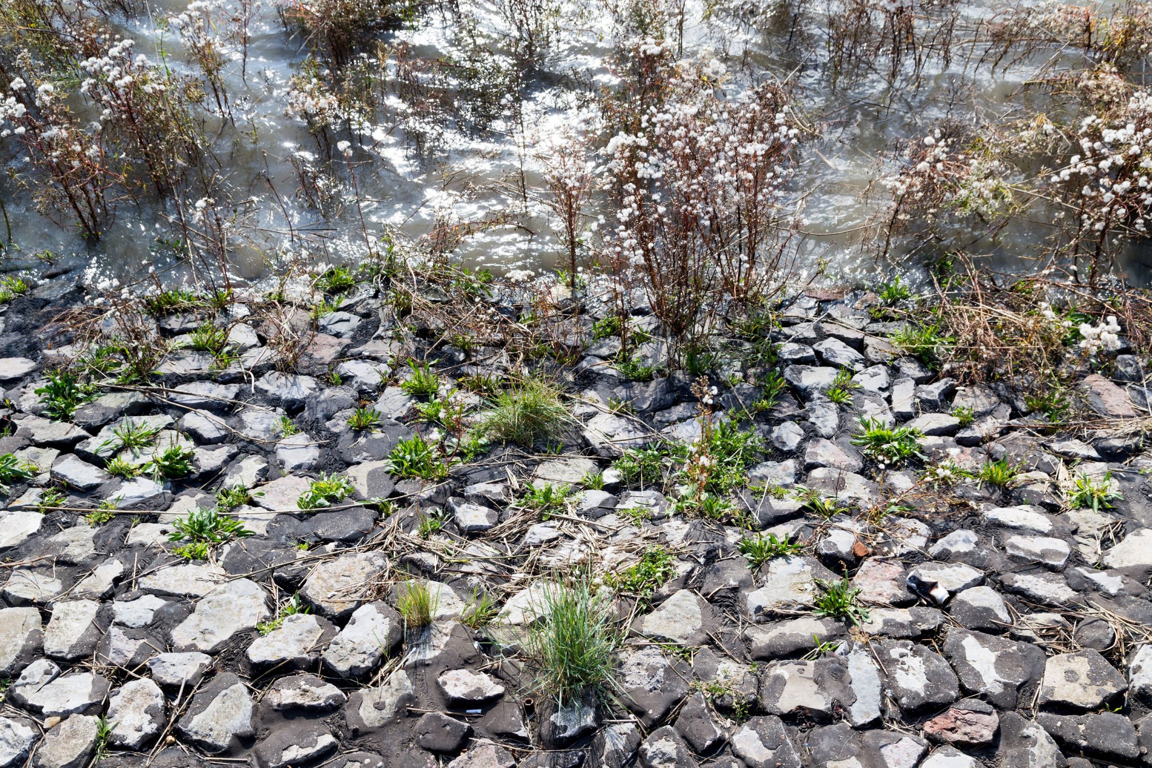 Frogley Park | Projects | Periscope