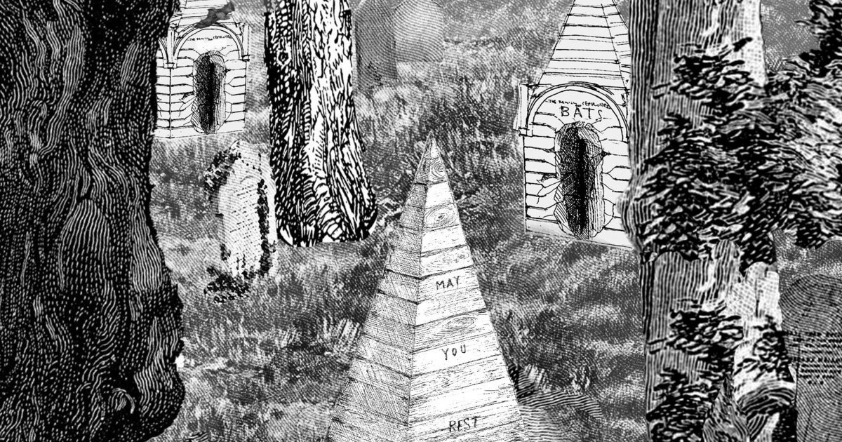 Highgate Cemetery | Projects | Periscope