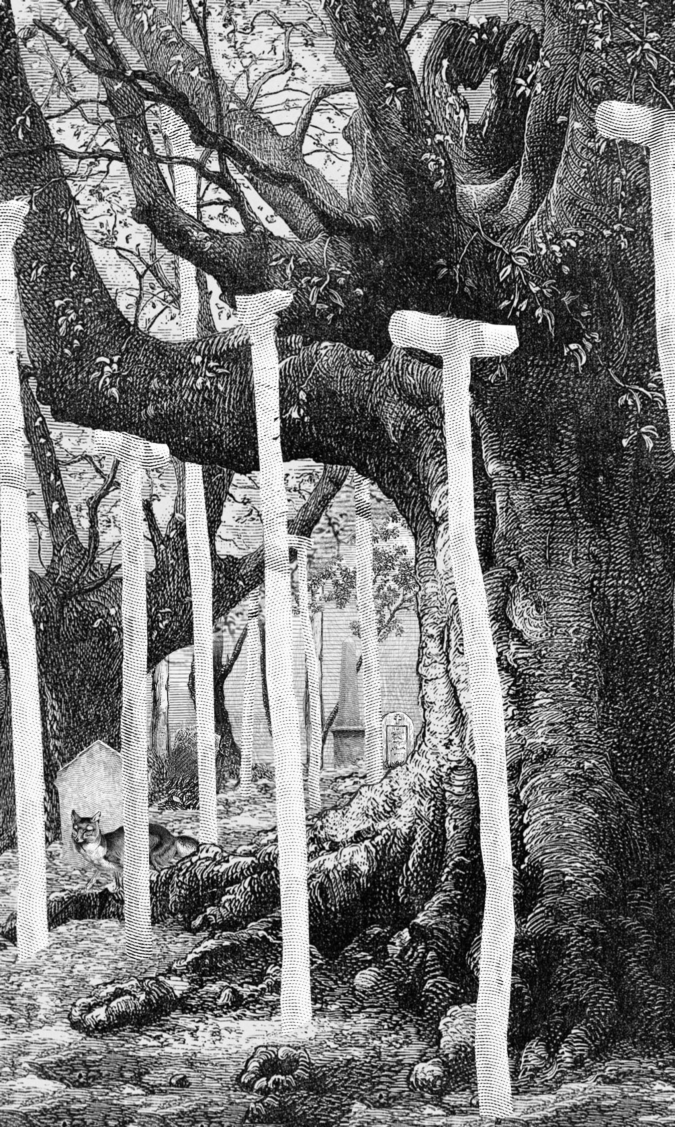 Highgate Cemetery | Projects | Periscope