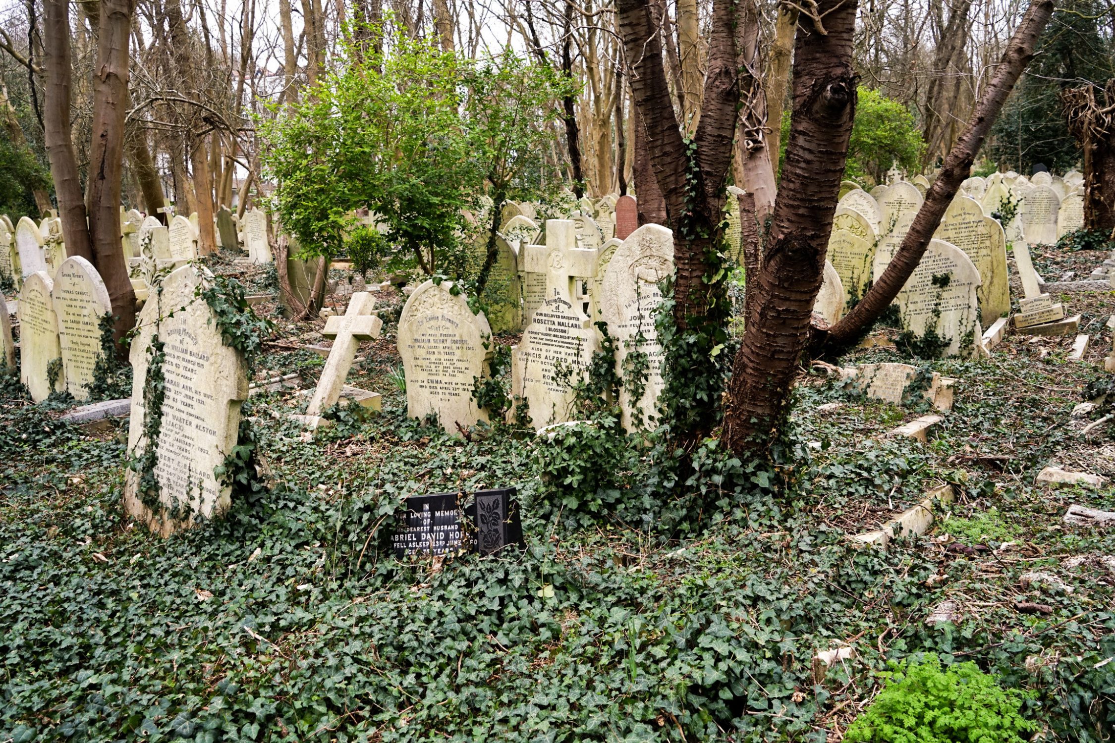 Highgate Cemetery | Projects | Periscope