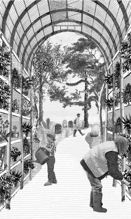 Highgate Cemetery | Projects | Periscope